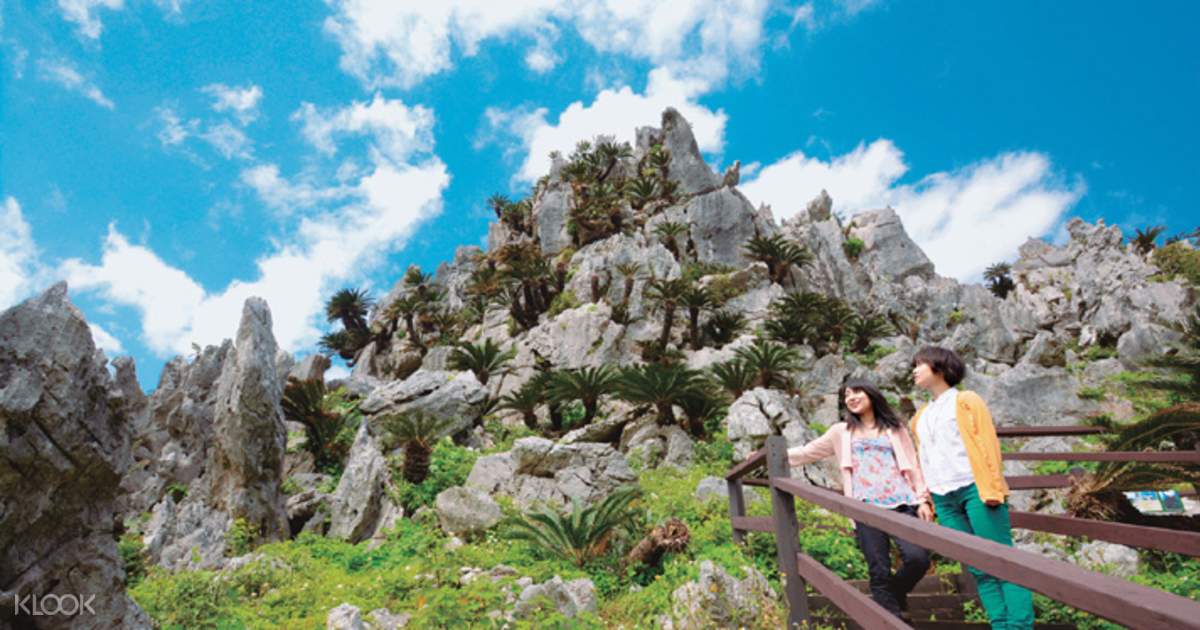 Yambaru National Park Daisekirinzan Ticket in Okinawa - Klook US