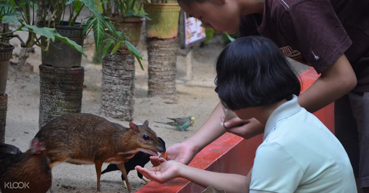 Langkawi Wildlife Park Admission Ticket in Malaysia