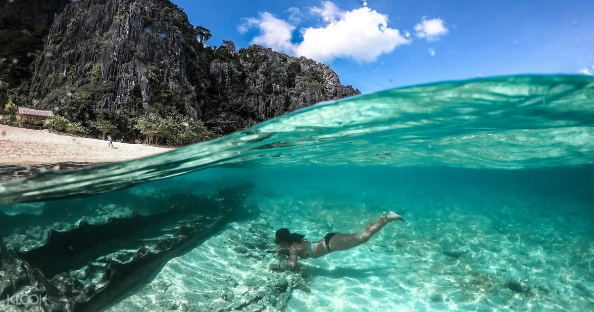 Free Diving Batangas at Ryder Sidaway blog