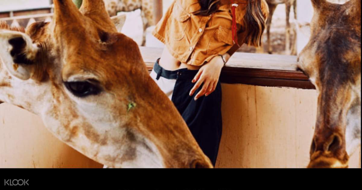 Buy Bangkok Safari World Tickets Online and Meet Exotic Animals