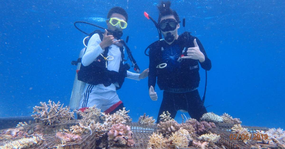 Timba-Timba, Mataking and Pom Pom Island Try Diving Experience in ...