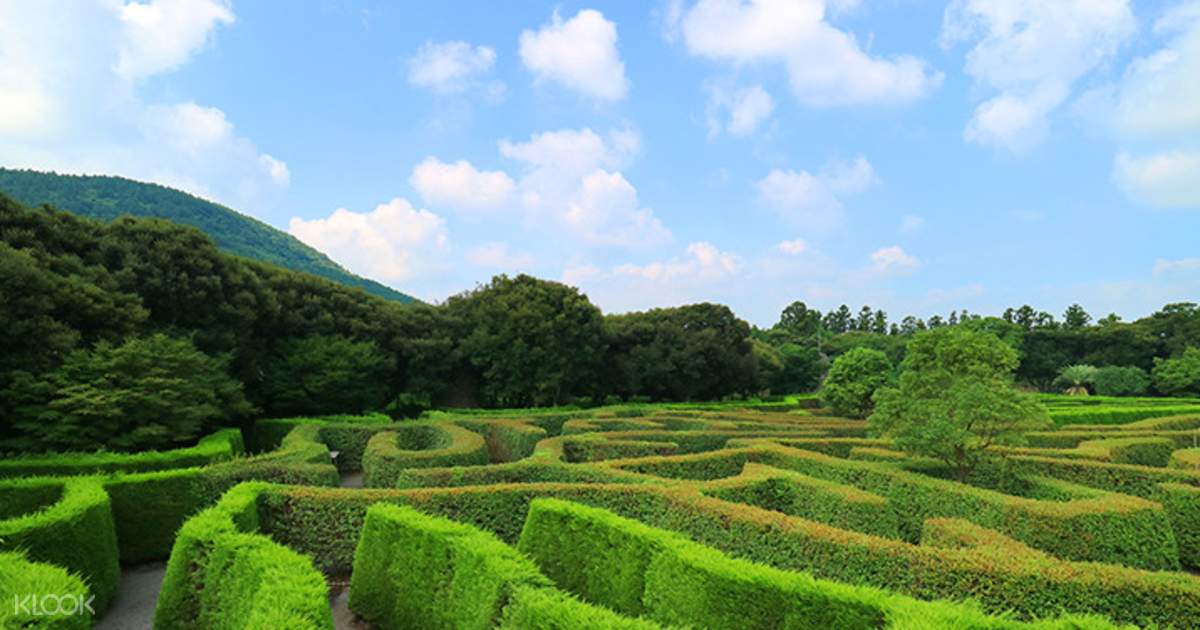 Maze Land in Jeju - Klook Philippines