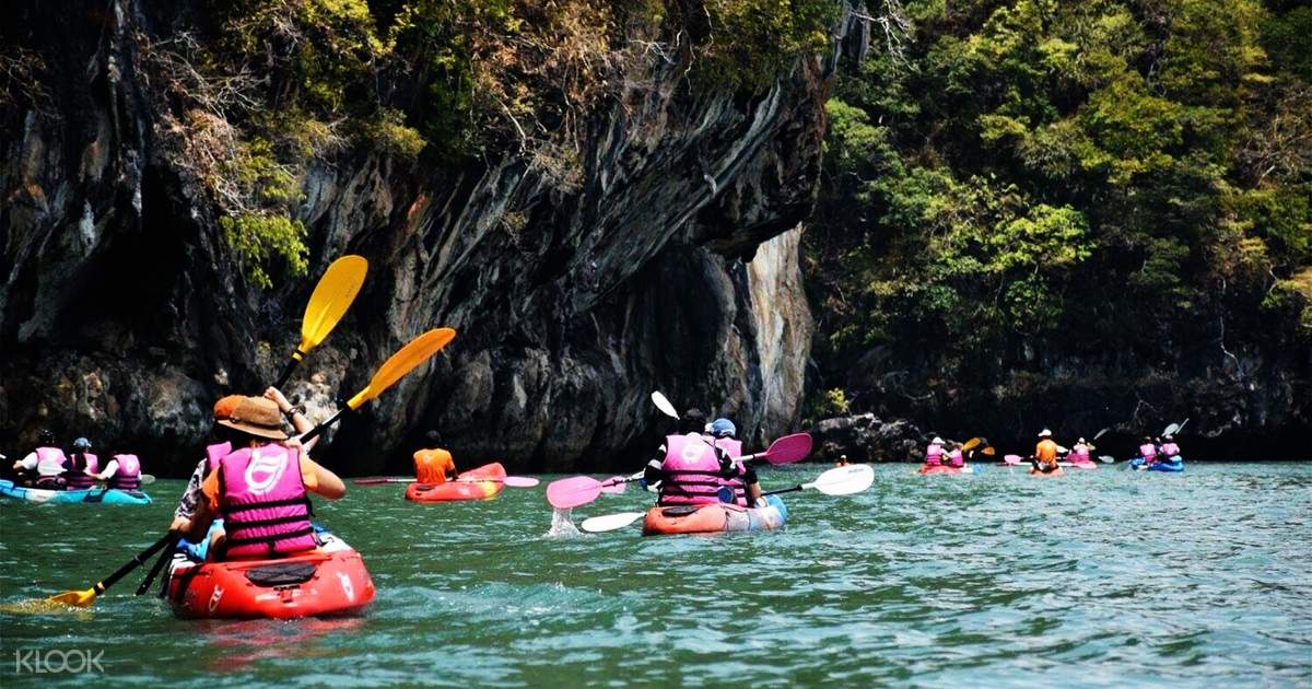 Krabi Mangrove Kayak Tour by TTD