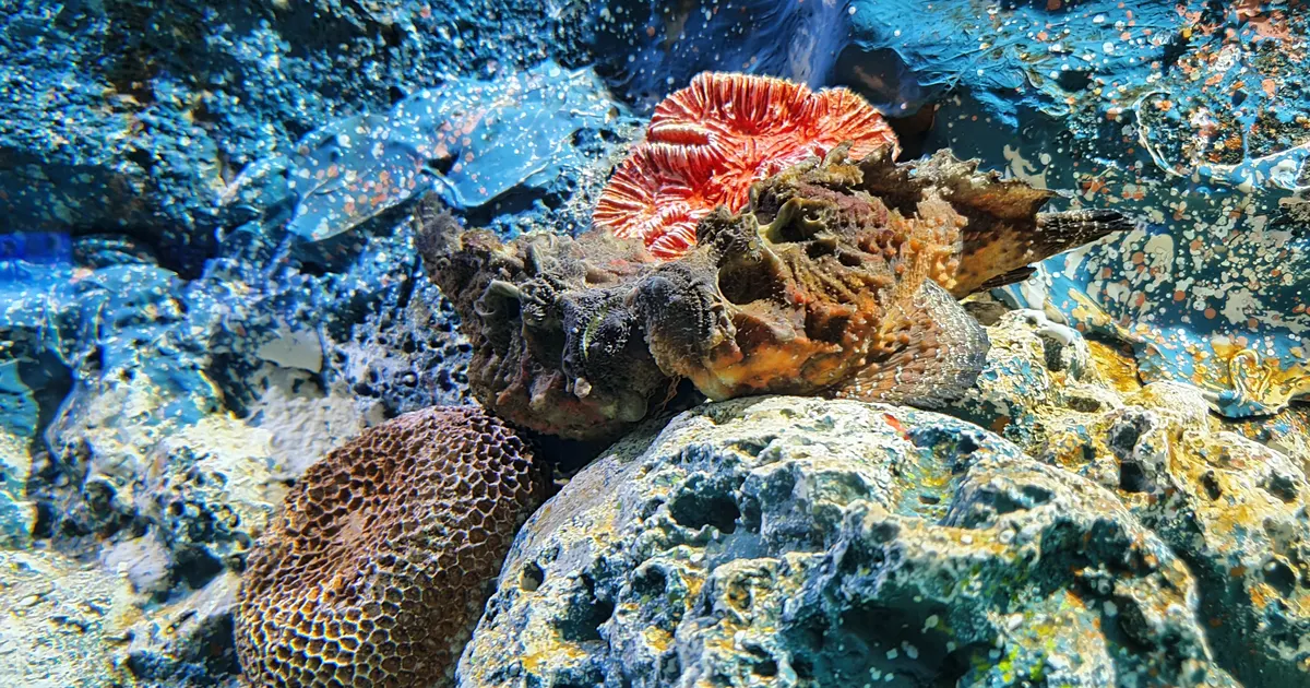 Underwater World Pattaya