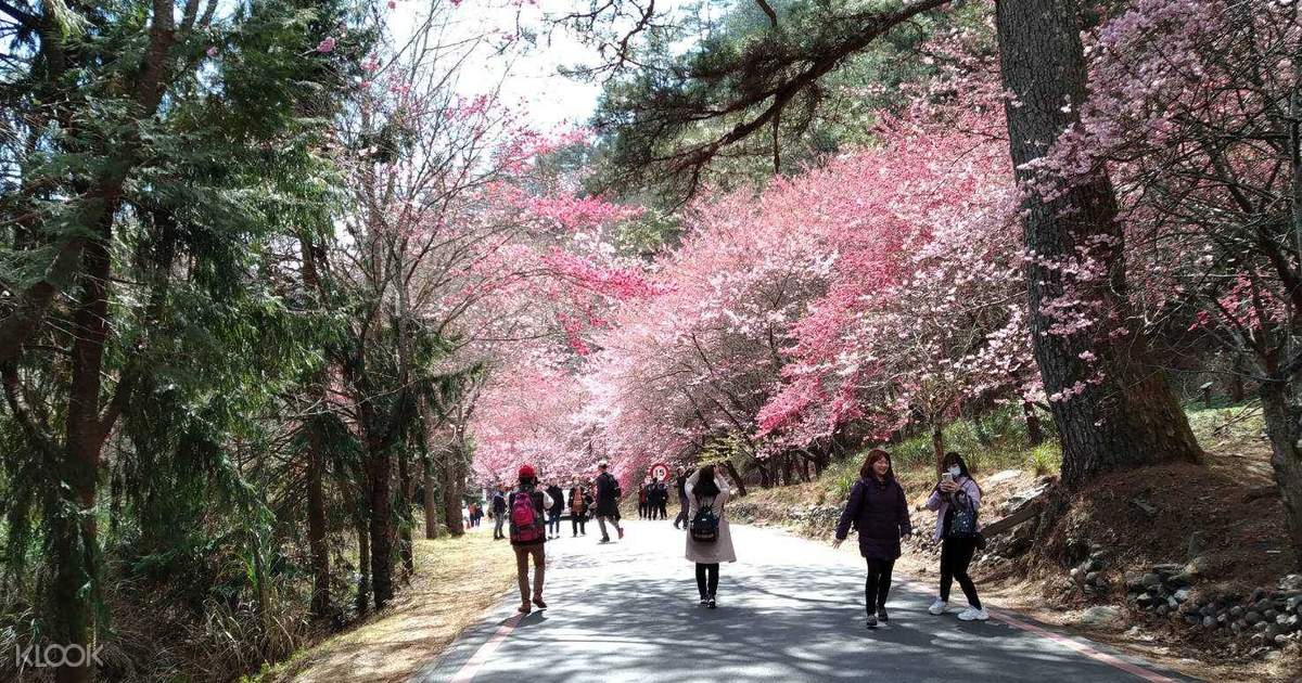 Wuling Farm Day Tour from Taipei, Taiwan - Klook Philippines