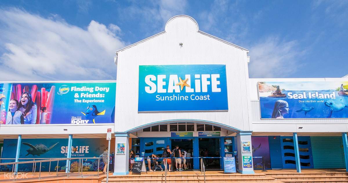 SEA LIFE Sunshine Coast Admission Ticket - Klook US