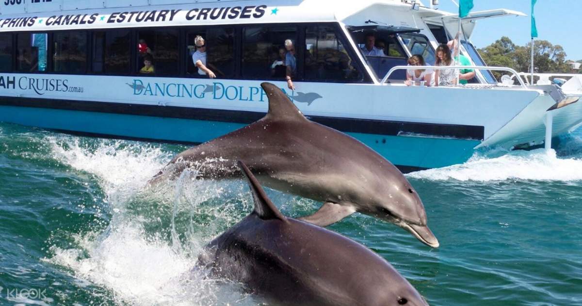 Mandurah Dolphin & Scenic Canal Cruise from Perth