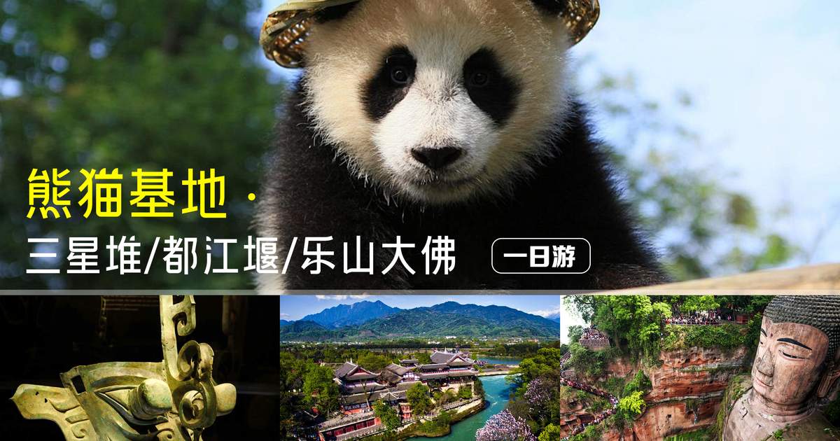Chengdu Panda Base + Sanxingdui Museum/Dujiangyan/Leshan Giant Buddha ...
