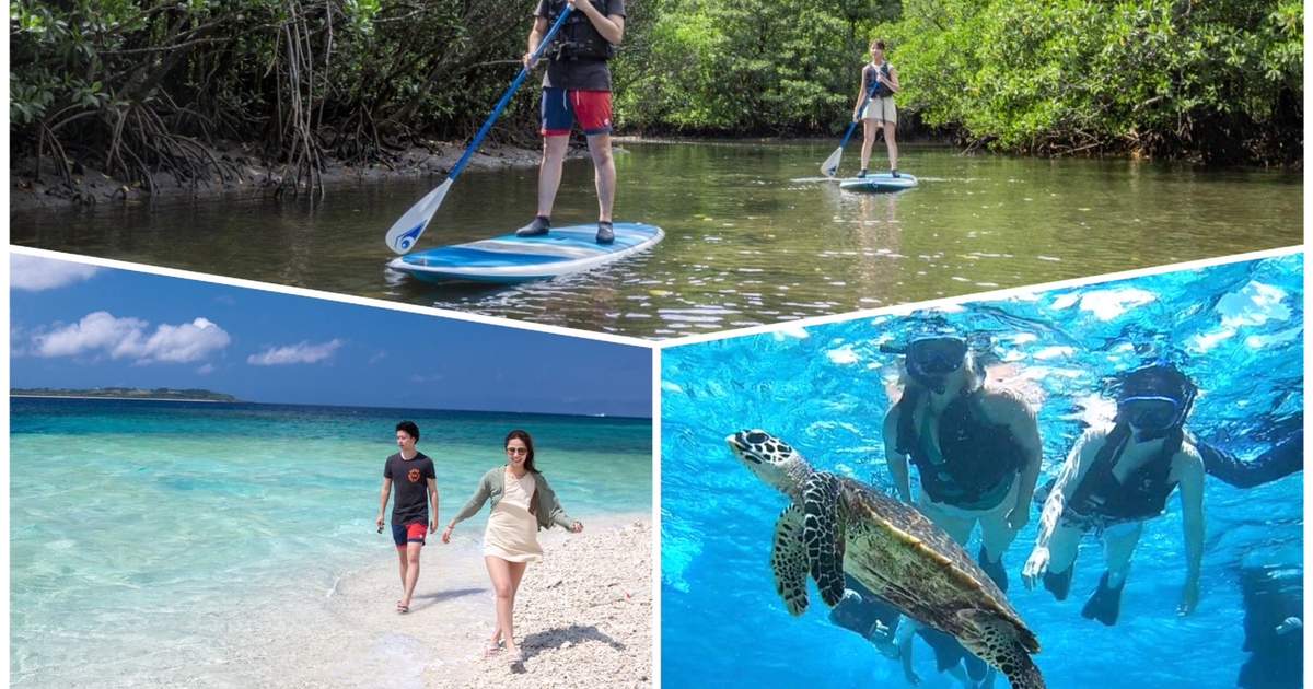 Iriomote Island Barasu Island Snorkeling & Mangrove SUP or Canoe 1-day experience (Okinawa) - Klook