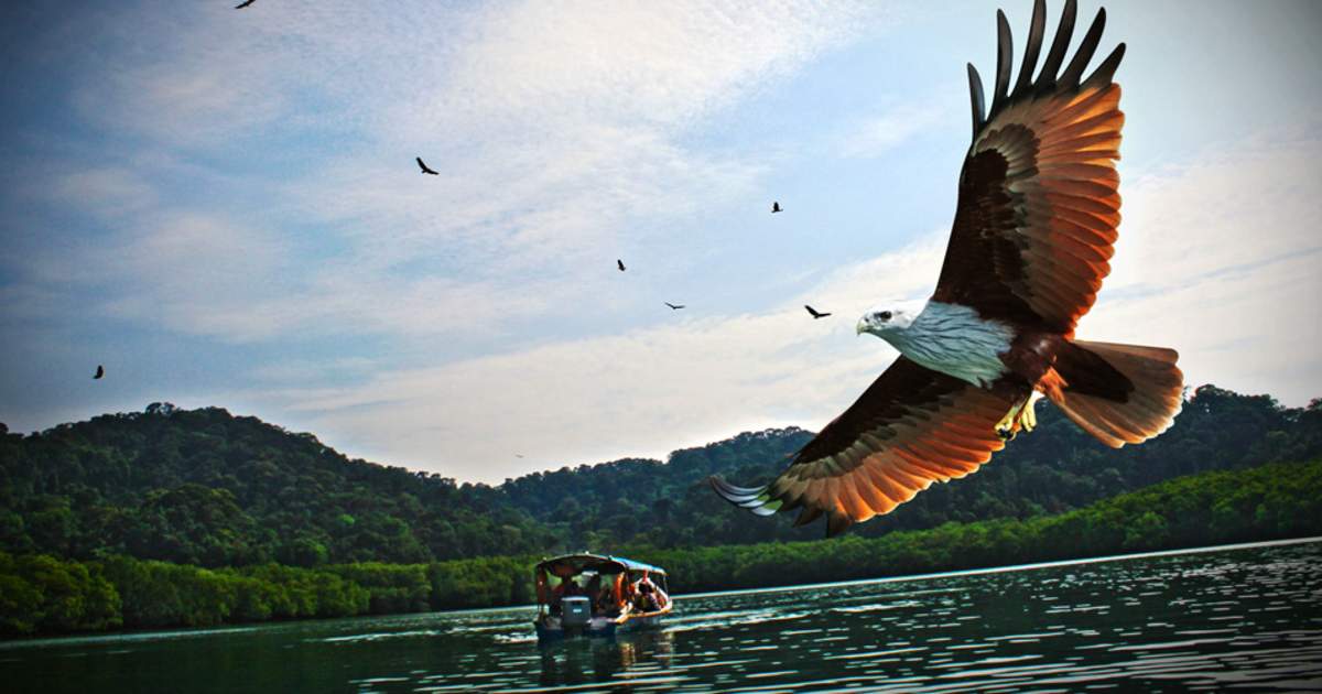Lawatan Bot Island Hopping di Langkawi - Klook Amerika Syarikat