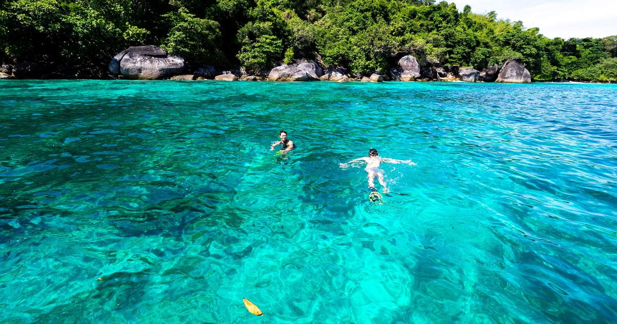 Similan Islands Speedboat Snorkeling Tour by Seastar from Phuket ...