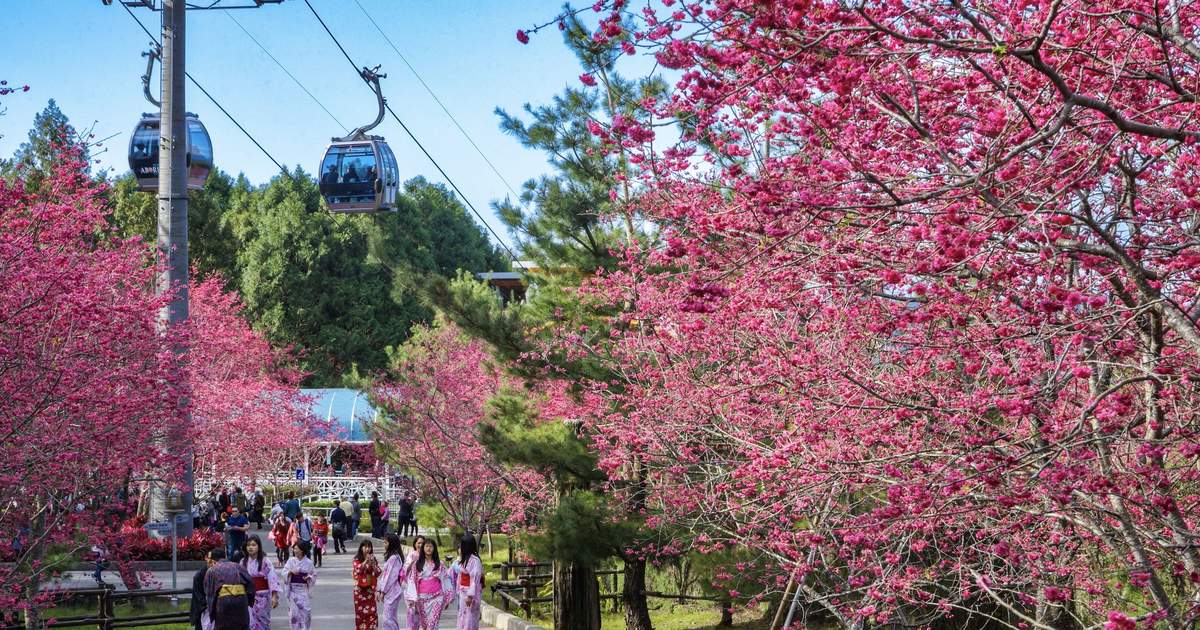 Biglietto per il villaggio della cultura aborigena di Formosa a Nantou ...