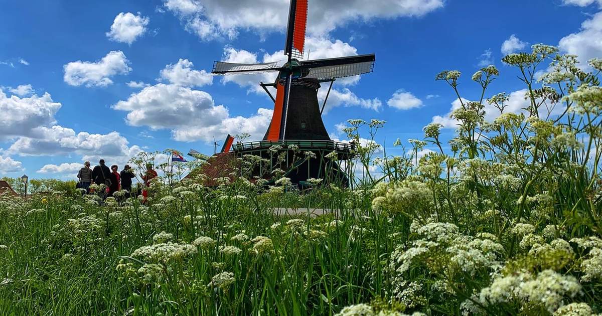 Countryside, Windmill, and Cheese E-Bike Tour in Amsterdam - Klook Malaysia