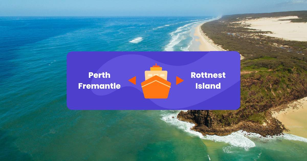 Rottnest Island Return Ferry Ticket from Perth or Fremantle with ...