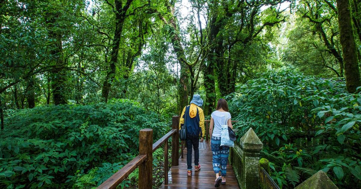 Doi Inthanon National Park One Day Tour with Round Trip Transfers - Klook