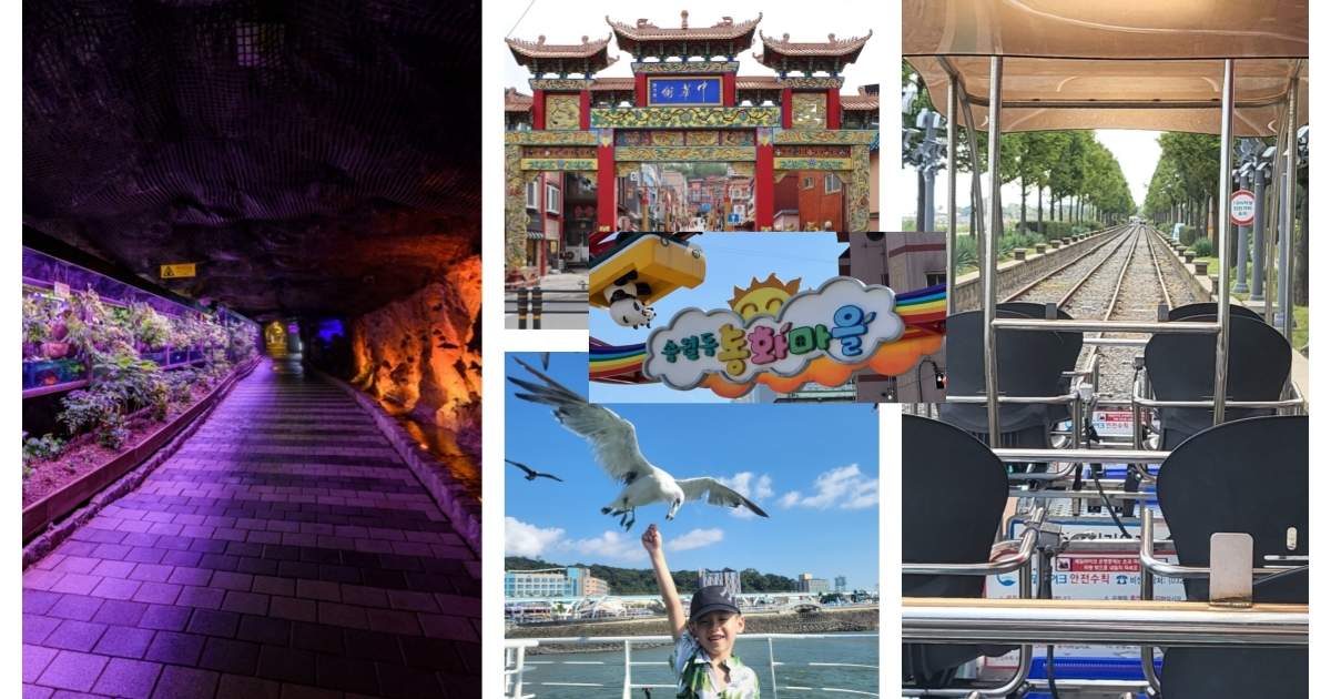 Rail Bike & Gwangmyeong Cave & Seagull Feeding & Chinatown & Fairy Tale ...