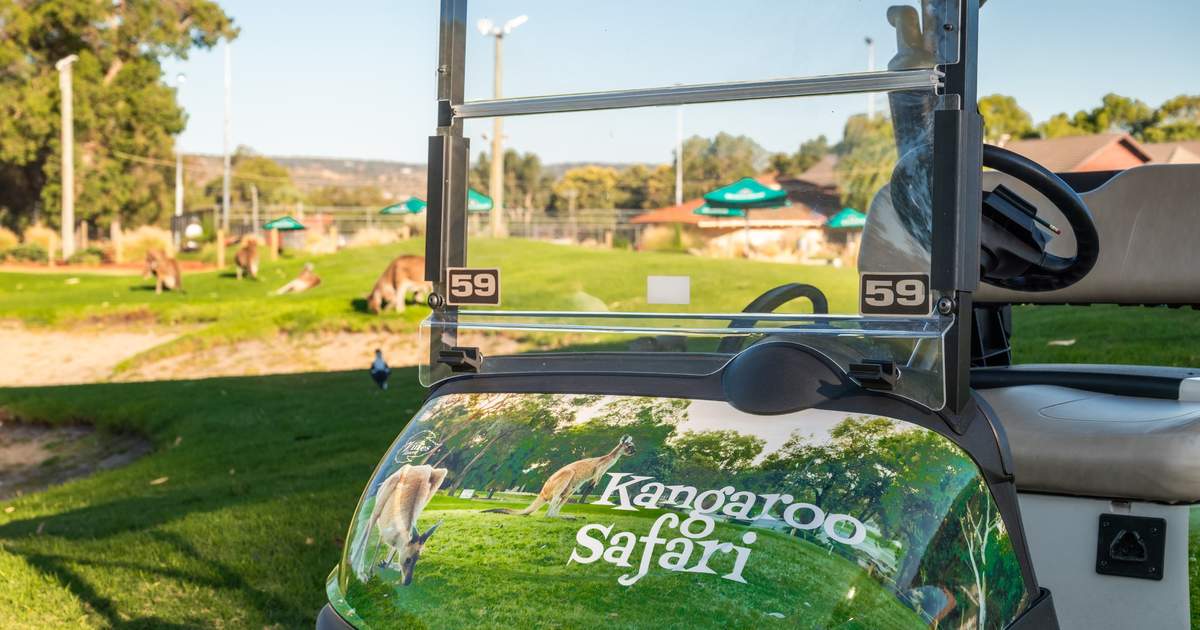 Kangaroo Safari & Mini-Golf in the Swan Valley - Klook Singapore