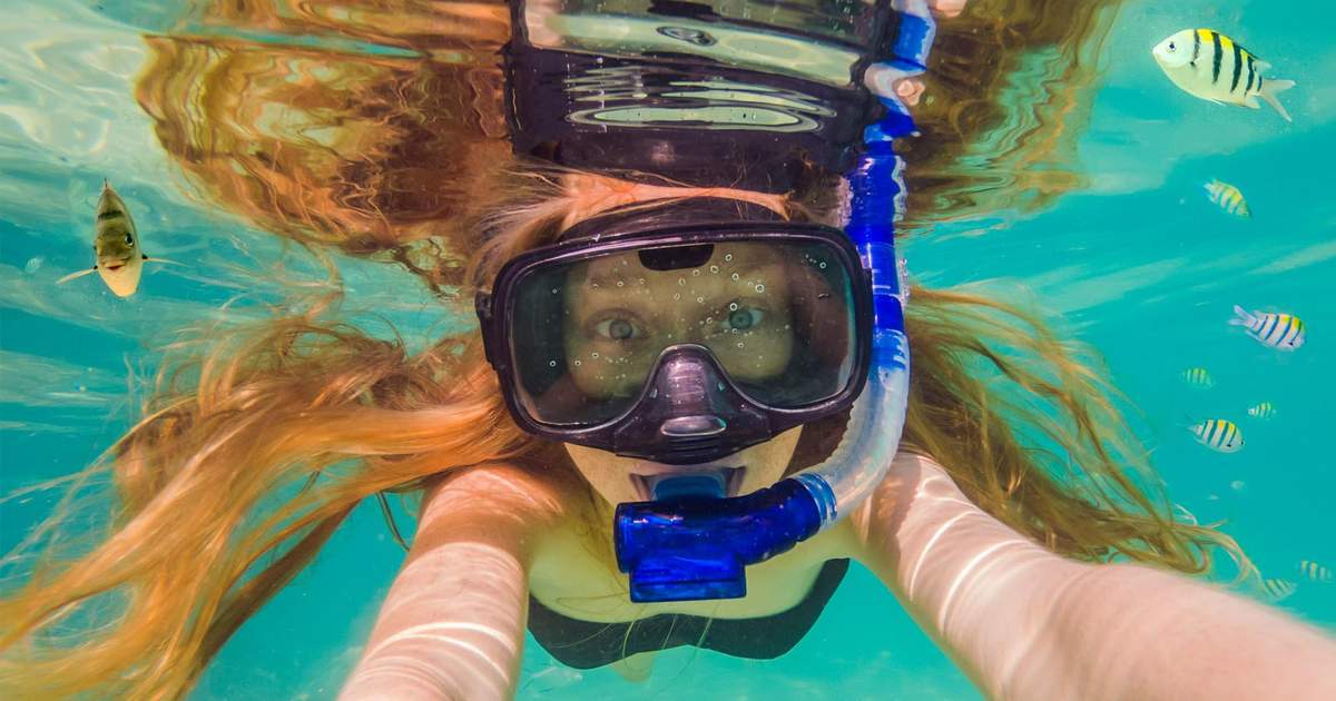 Experience Snorkeling at Napaling and Swim with the Panglao Sardines ...