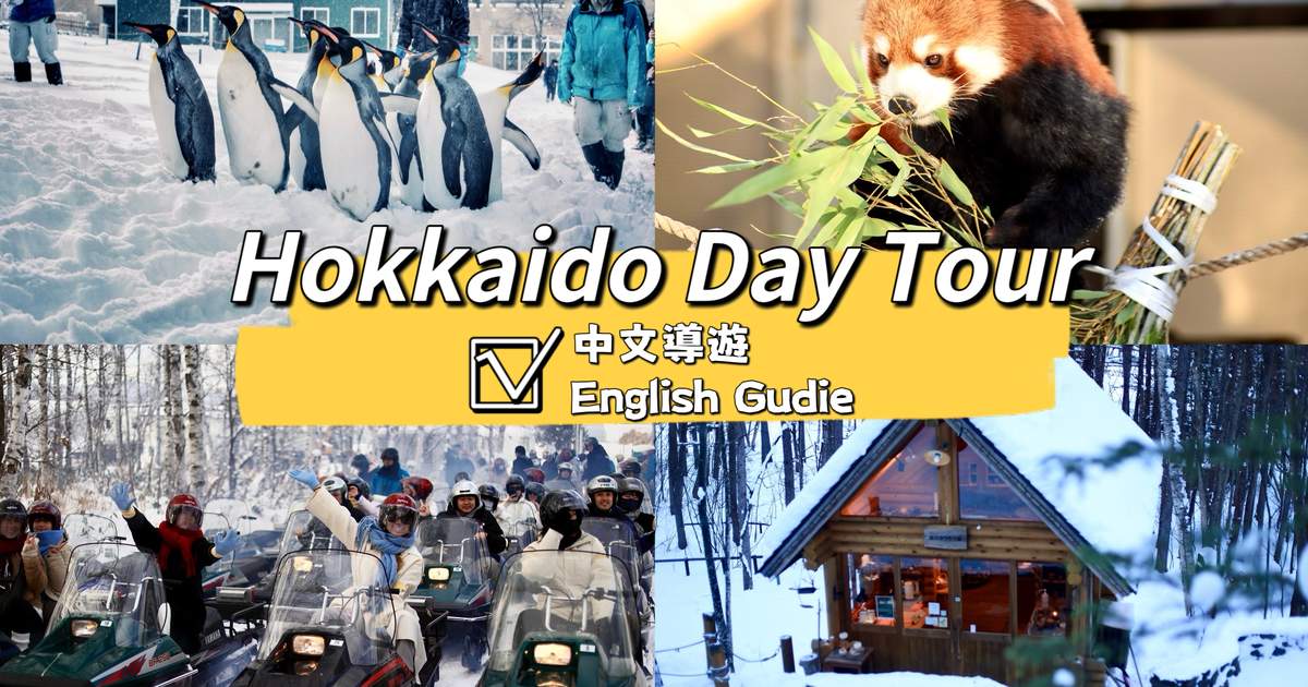 Hokkaido｜Asahikawa Zoo & Shikisai no Oka & Biei Christmas Tree & Forest ...