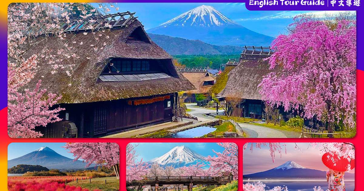 Tur Bus Bersama Gunung Fuji, Kawakuchiko, dan Taman Arakurayama Sengen dengan Bunga dari Tokyo ...