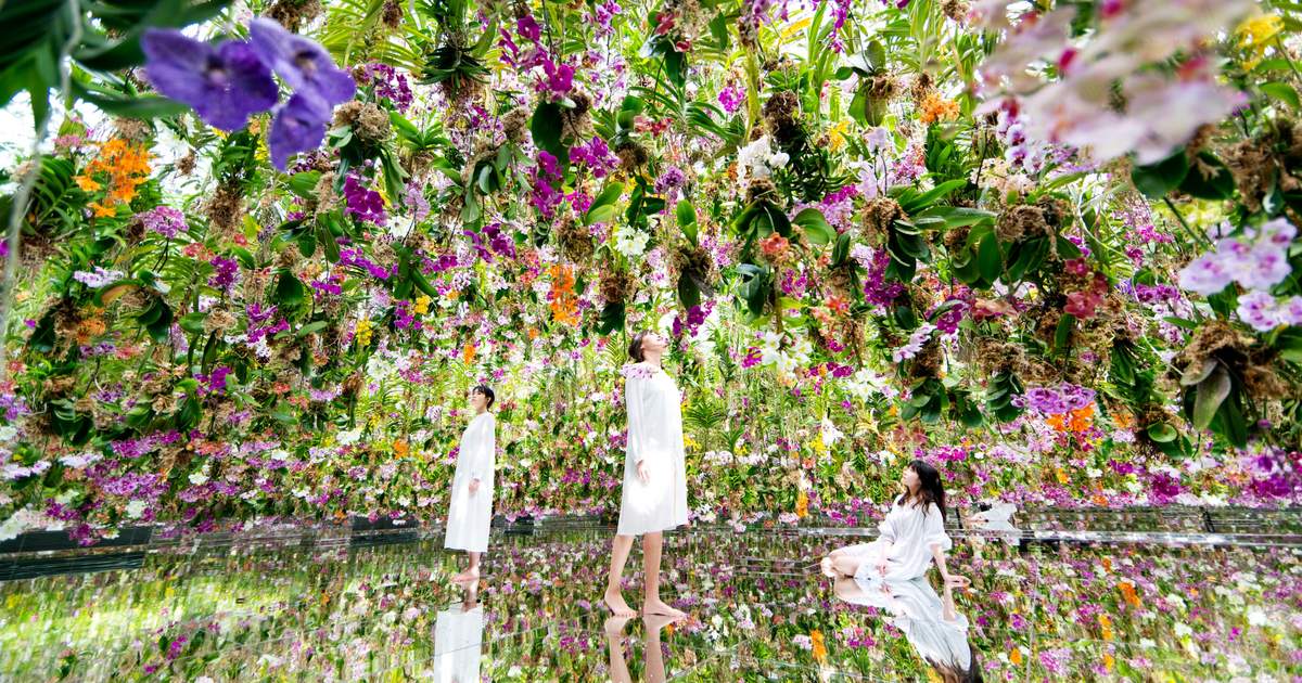 teamLab Planets TOKYO DMM Ticket - Klook Singapore