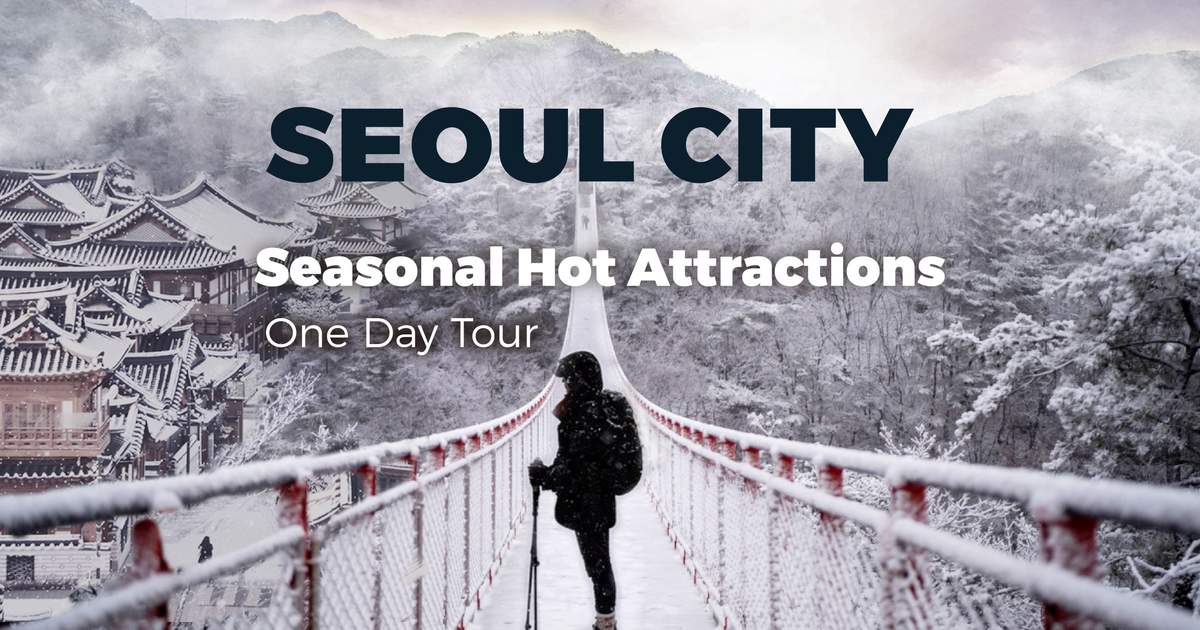 Seoul City & Seasonal Hot Attractions One Day Tour - Klook Australia