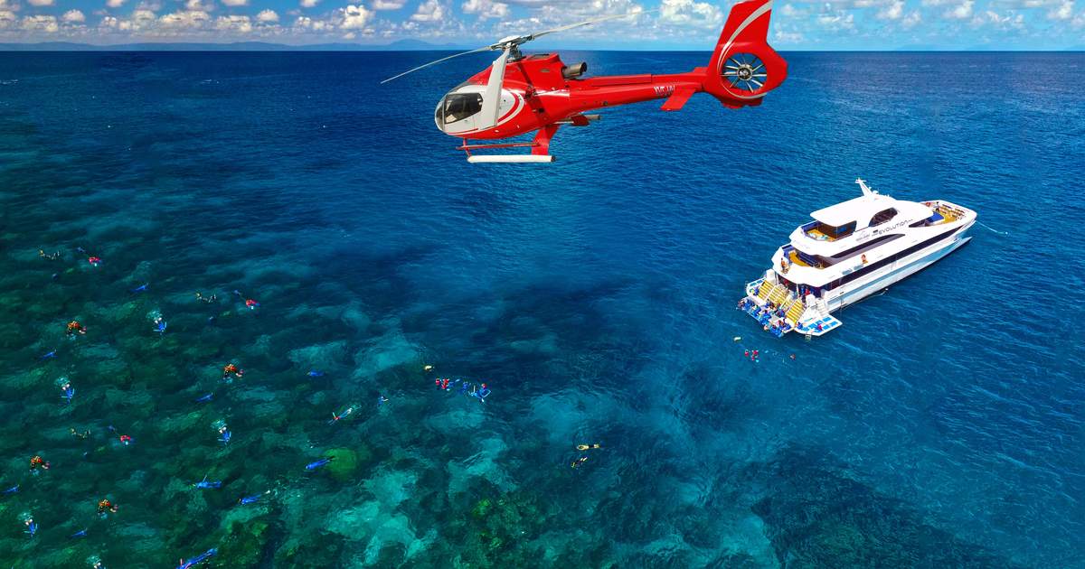Great Barrier Reef Snorkel, Dive and Helicopter Flight Full Day Tour ...