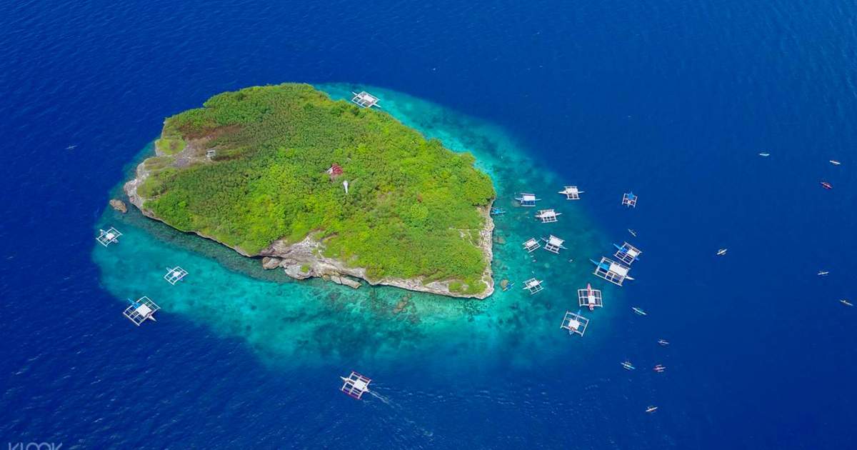 Cebu Sumilon Island Day Tour & Oslob Whale Shark Watching - Klook ...