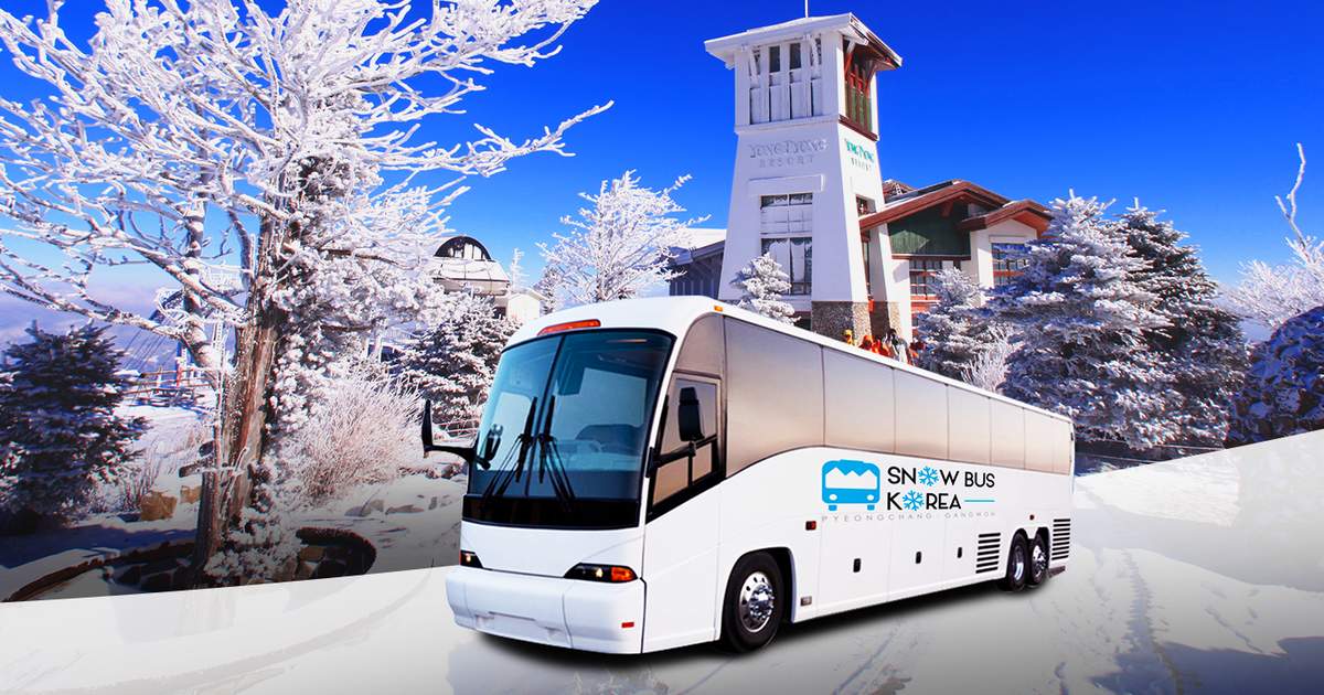 Pyeongchang Alpensia or Yongpyong Ski Resort Shuttle Bus Transfers from ...