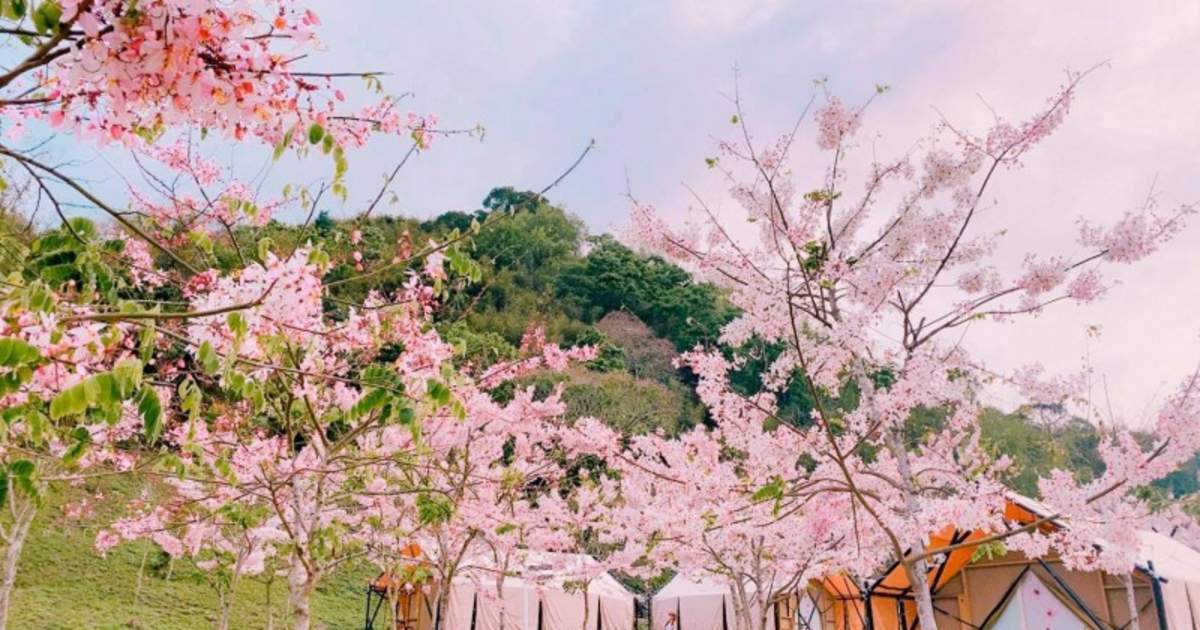 Toyama Mochizuki Hot Spring Camping Area in Kaohsiung - Klook United States