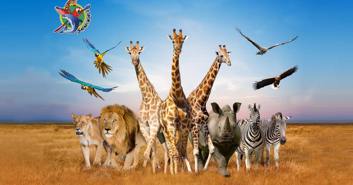 Safari World Ticket In Bangkok - Klook Singapore