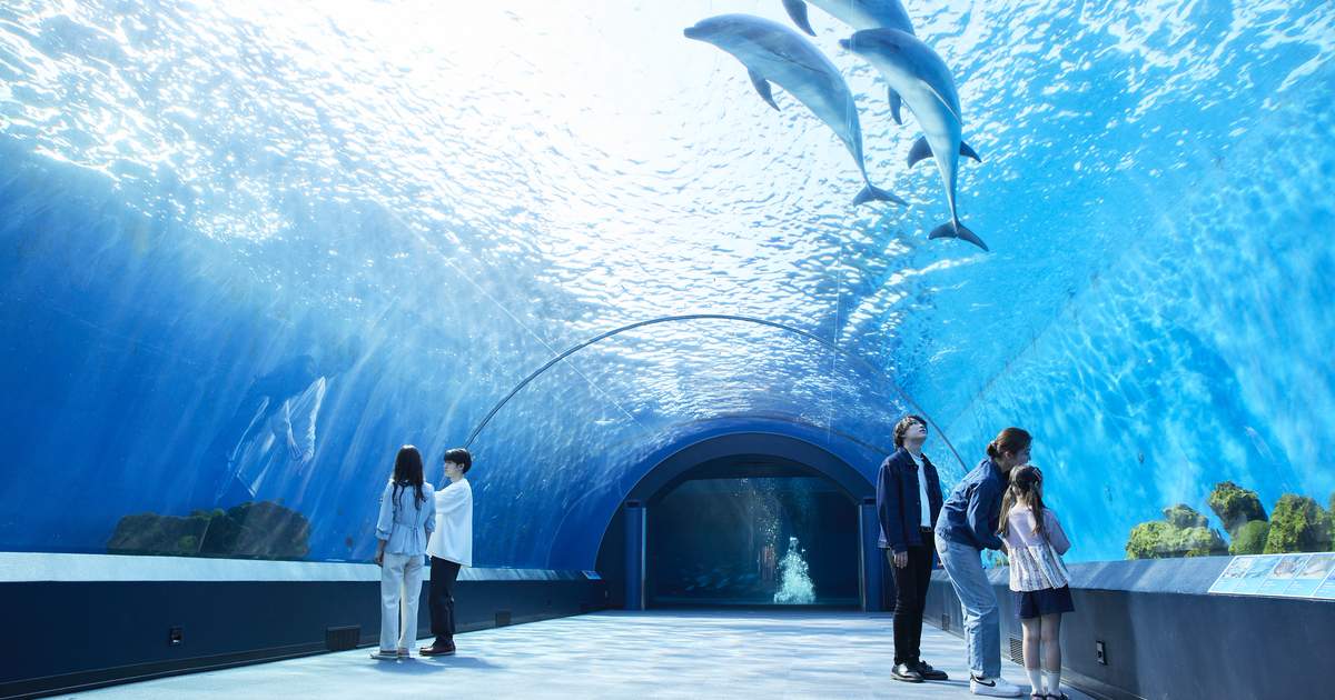 Yokohama Hakkeijima Sea Paradise Ticket in Tokyo, Japan - Klook India