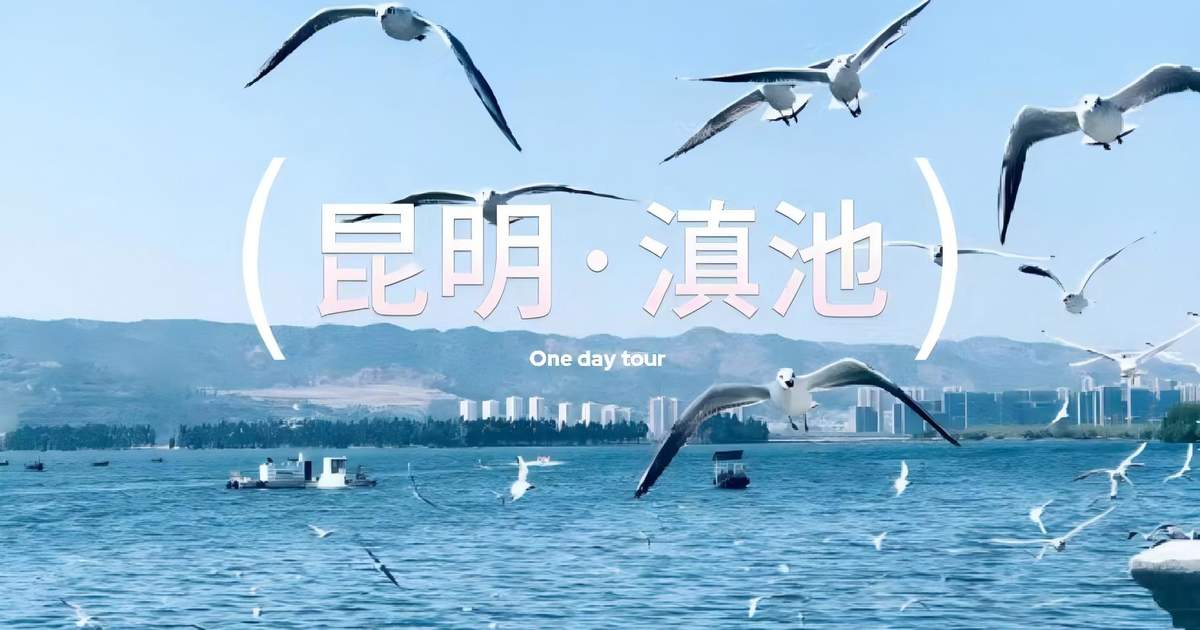 Yunnan Kunming Stone Forest and Dianchi Lake 1-Day Tour (Stone Forest ...
