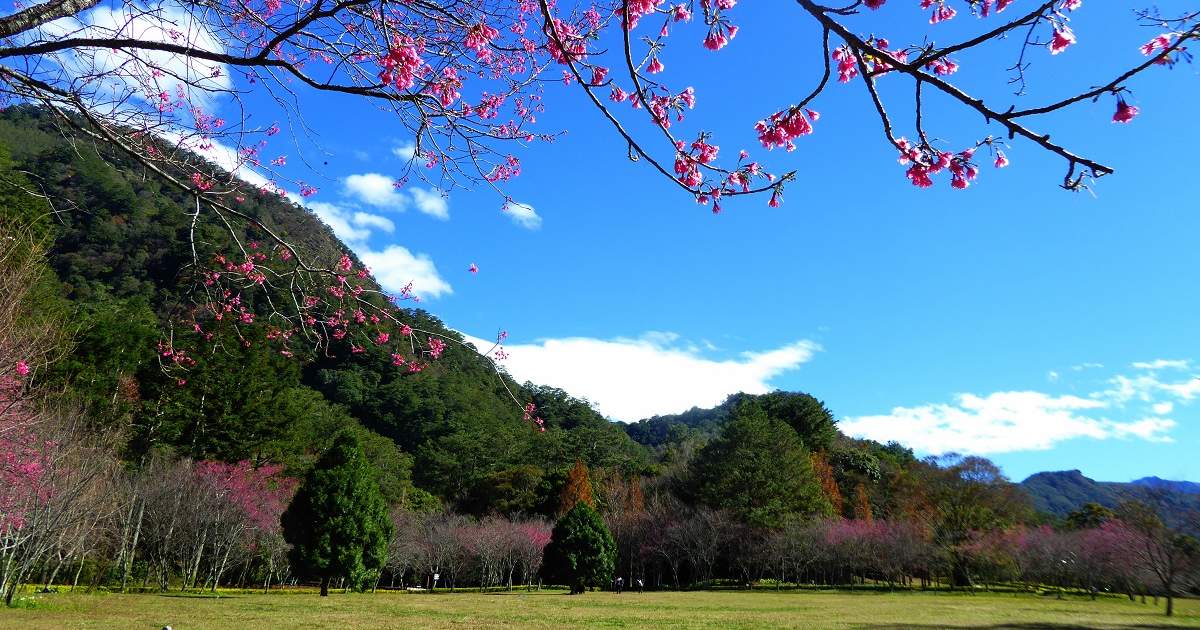 Aowanda National Forest Recreation Area Ticket in Nantou - Klook India