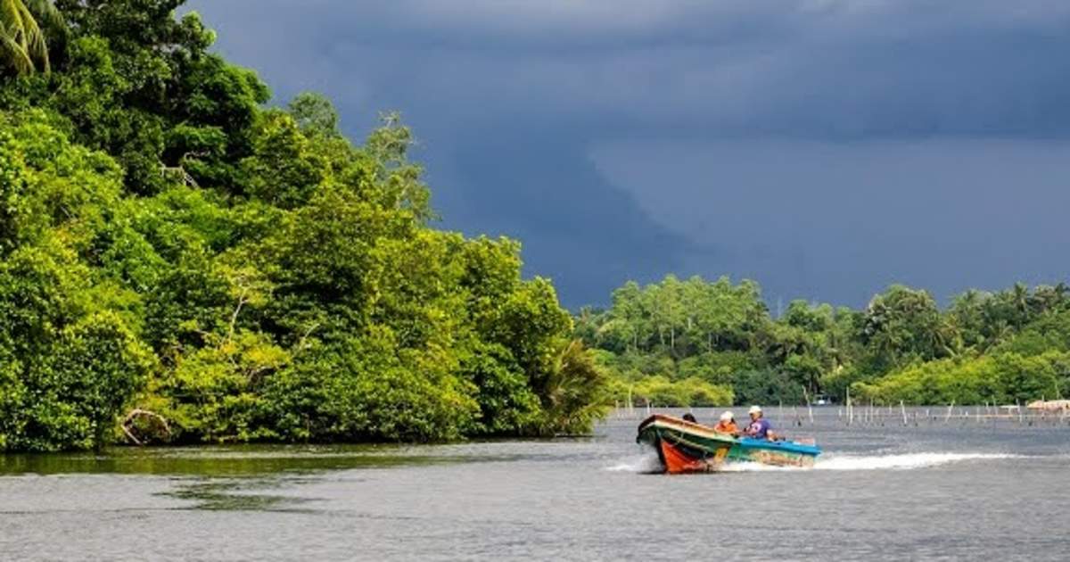 Balapitiya River Safari from Colombo - Klook