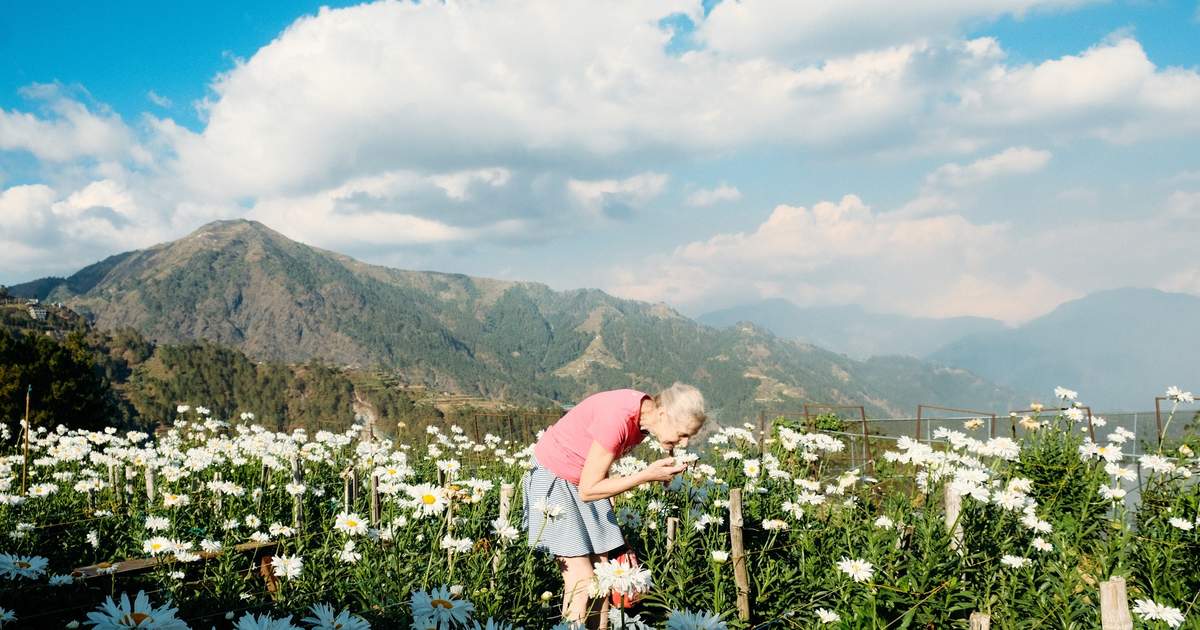 Atok Gardens Private Day Tour - Klook Philippines