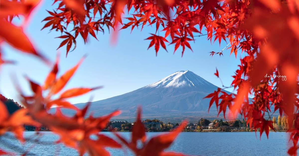 Mount Fuji Cherry Blossoms & Hakone One-Day Tour, Lake Kawaguchi Oishi ...