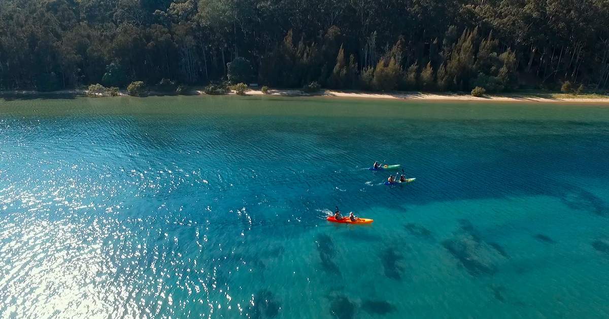 Glass Bottom Kayak Tour of Cullendulla Sanctuary - Klook