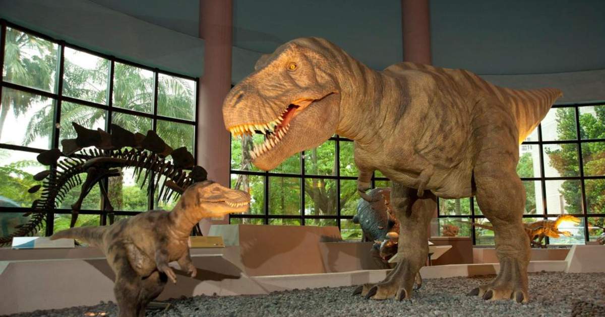 Taichung National Museum of Natural Science Main Building Exhibition ...