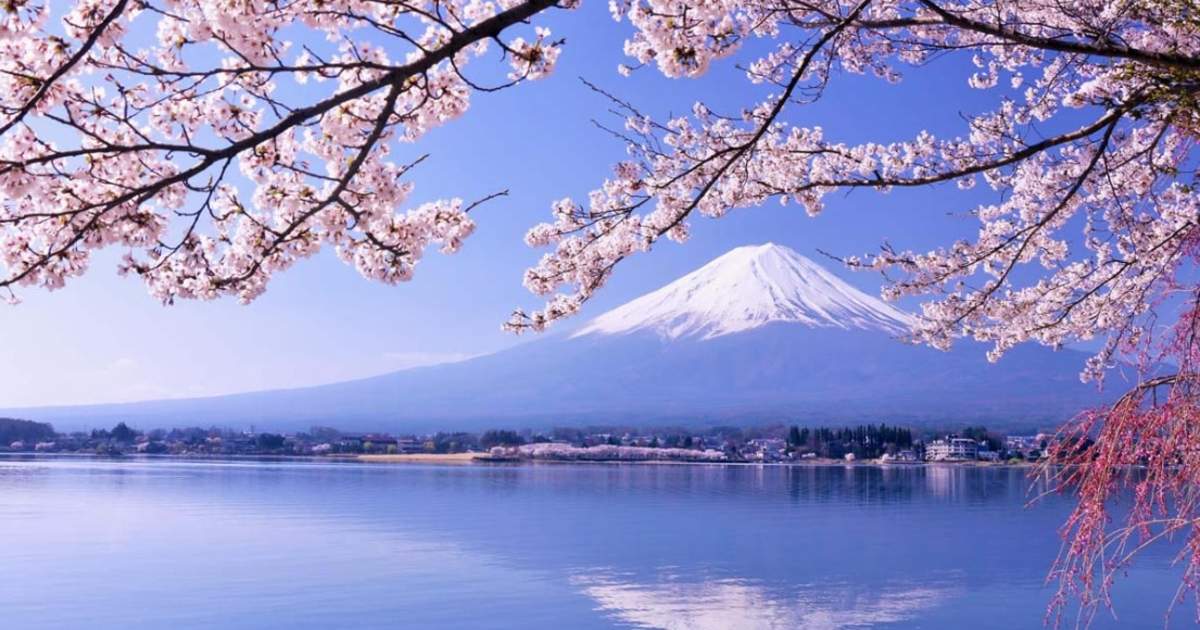 Mount Fuji Classic Route Day Tour from Tokyo - Klook Australia