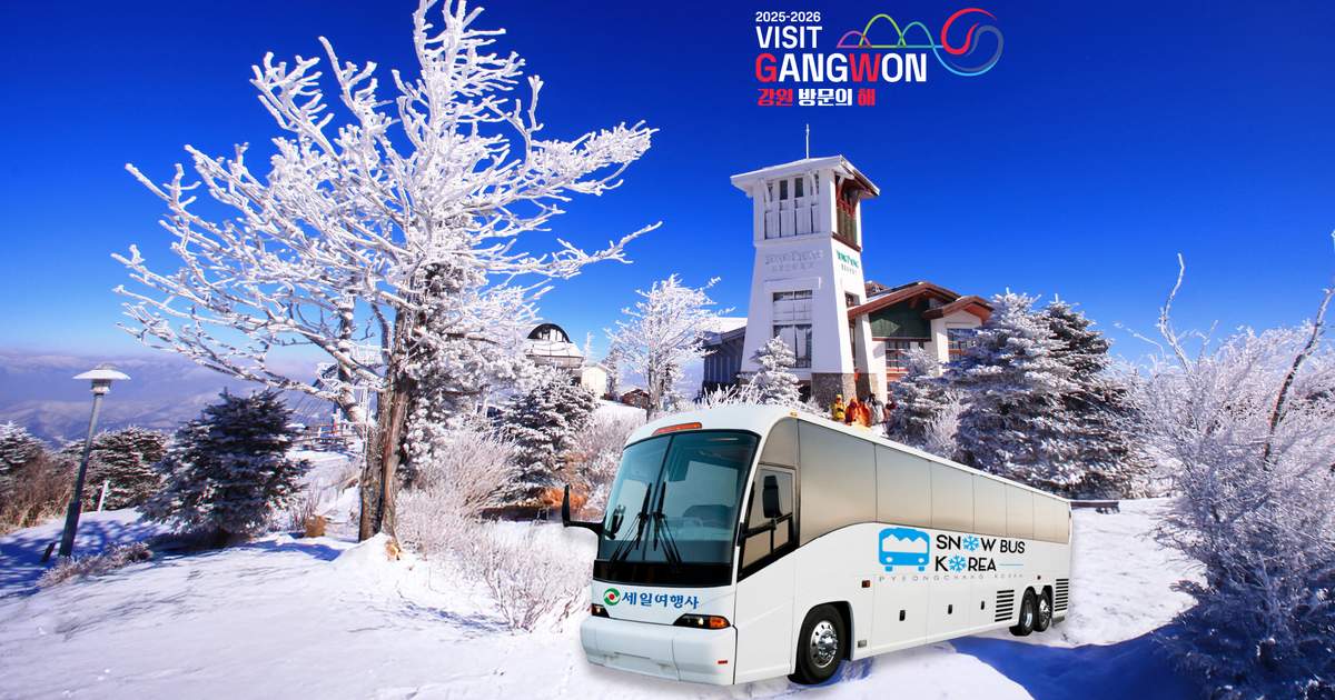 Pyeongchang Alpensia or Yongpyong Ski Resort Shuttle Bus Transfers from ...