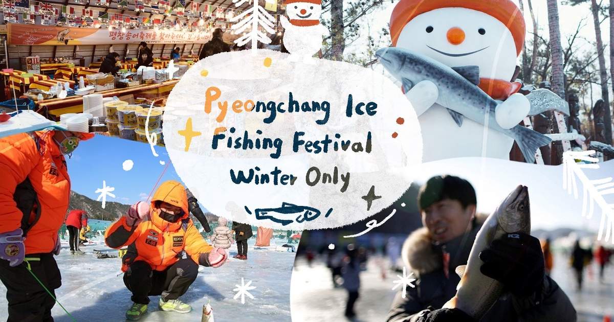 Hwacheon, Cheongpyeong, Pyeongchang & Gapyeong Ice Fishing Festivals ...