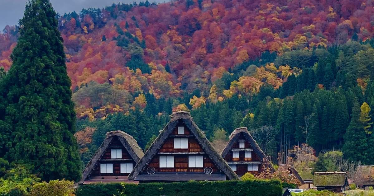 Top 16 Most Unusual Things To Do In Japan - Updated 2025 | Trip101