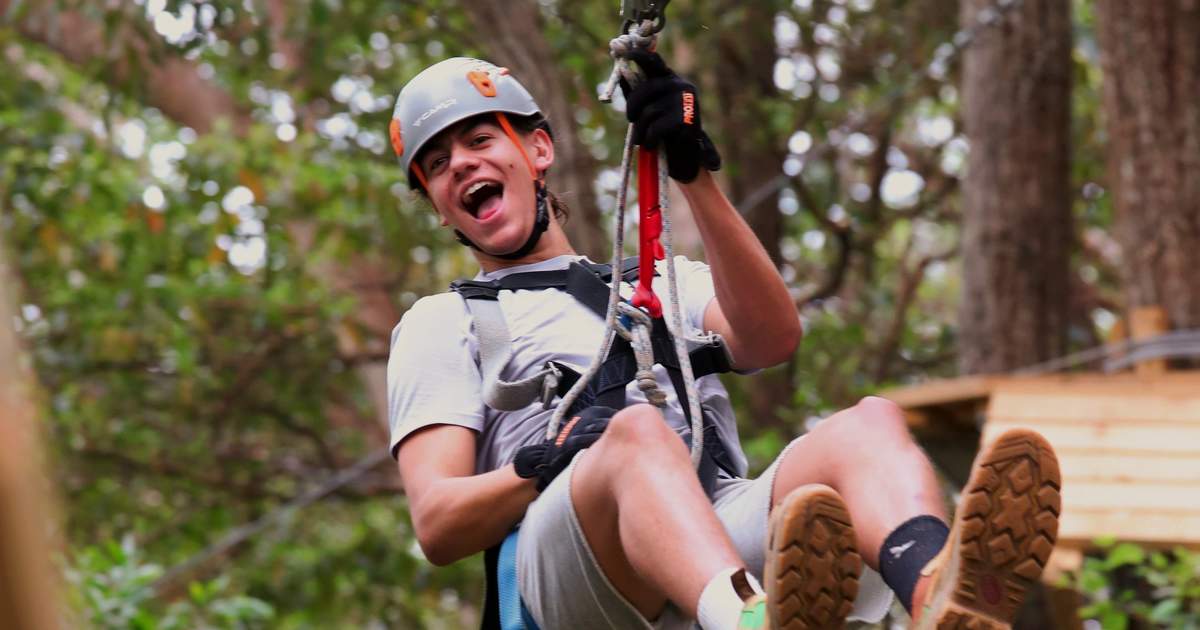 TreeTop Challenge at Currumbin Wildlife Sanctuary - Klook United States