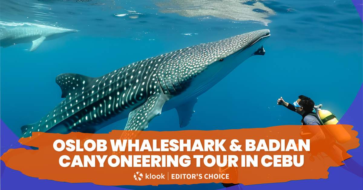Oslob Whaleshark & Badian Canyoneering Tour in Cebu - Klook