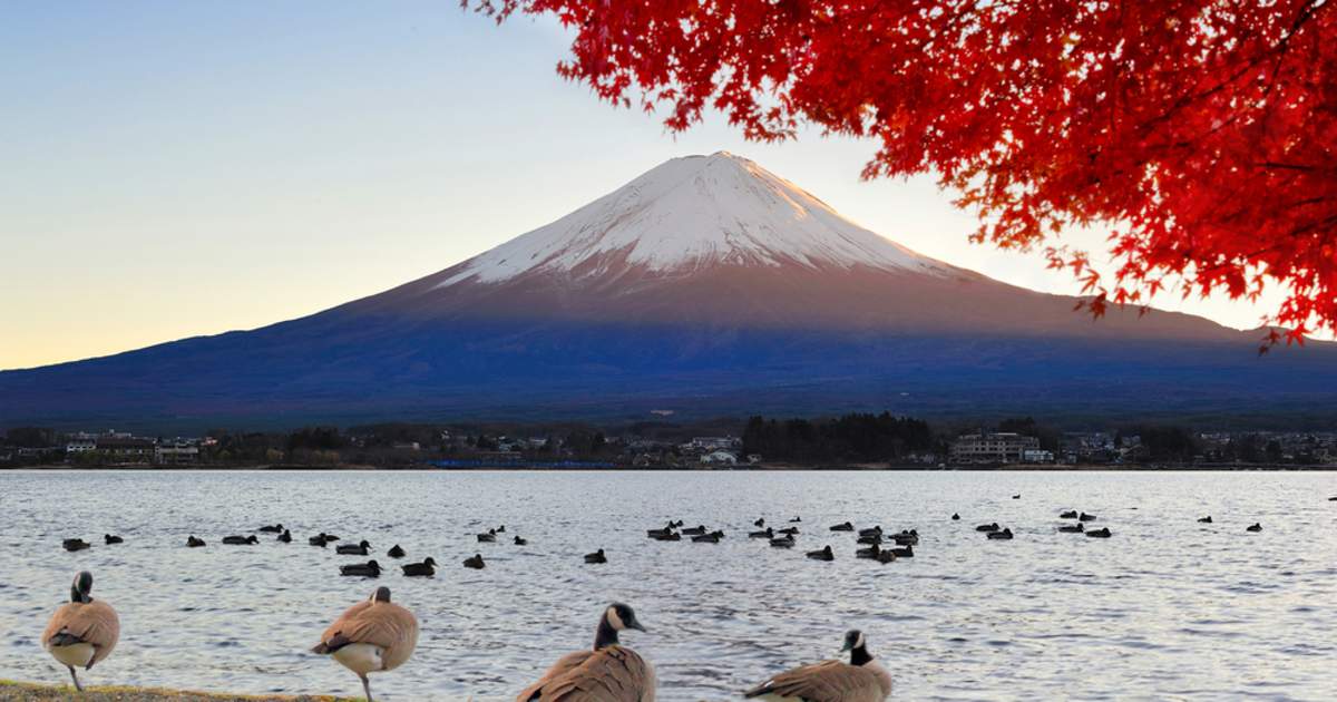 Mount Fuji Classic Route Day Tour from Tokyo - Klook Australia