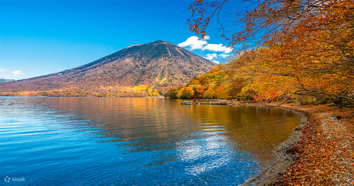 One-Day Pilgrimage to Nikko's World Heritage Sites from Tokyo: Tōshō-gū ...