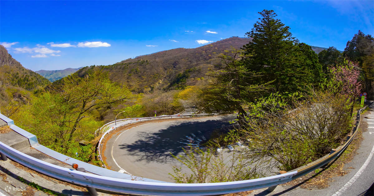 One-Day Pilgrimage to Nikko's World Heritage Sites from Tokyo: Tōshō-gū ...