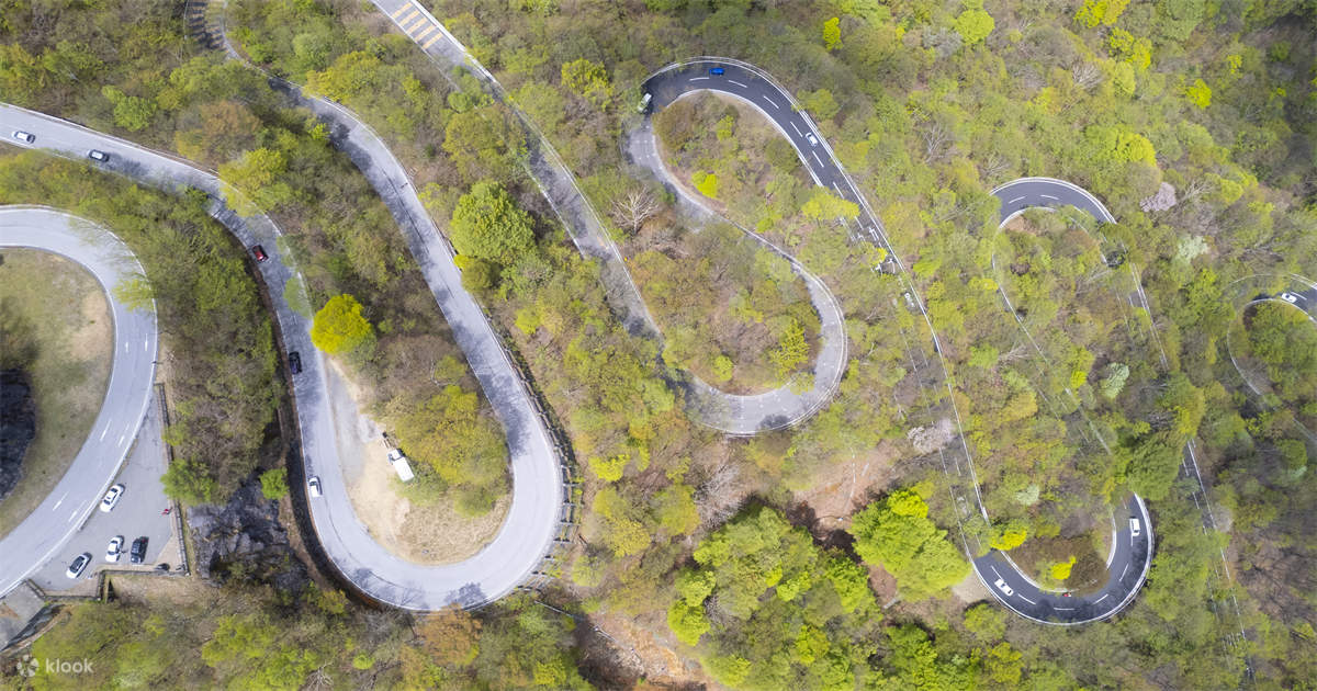 One-Day Pilgrimage to Nikko's World Heritage Sites from Tokyo: Tōshō-gū ...