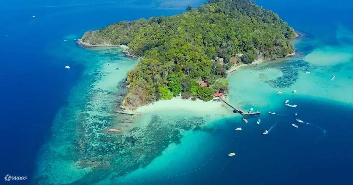 Sapi Island Scuba Diving Adventure in Kota Kinabalu, Sabah - Klook